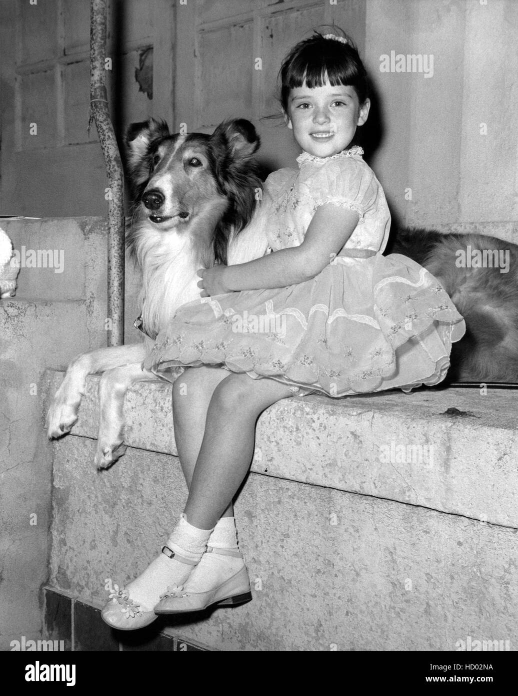 Angela Cartwright, five years old, with Lassie, 1957 Stock Photo - Alamy