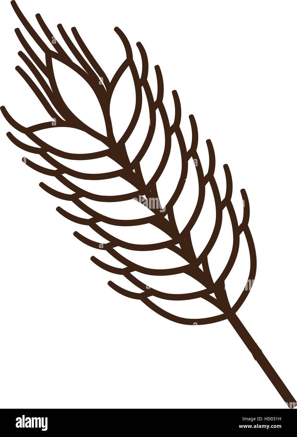 Isolated wheat ear design Stock Vector Image & Art - Alamy