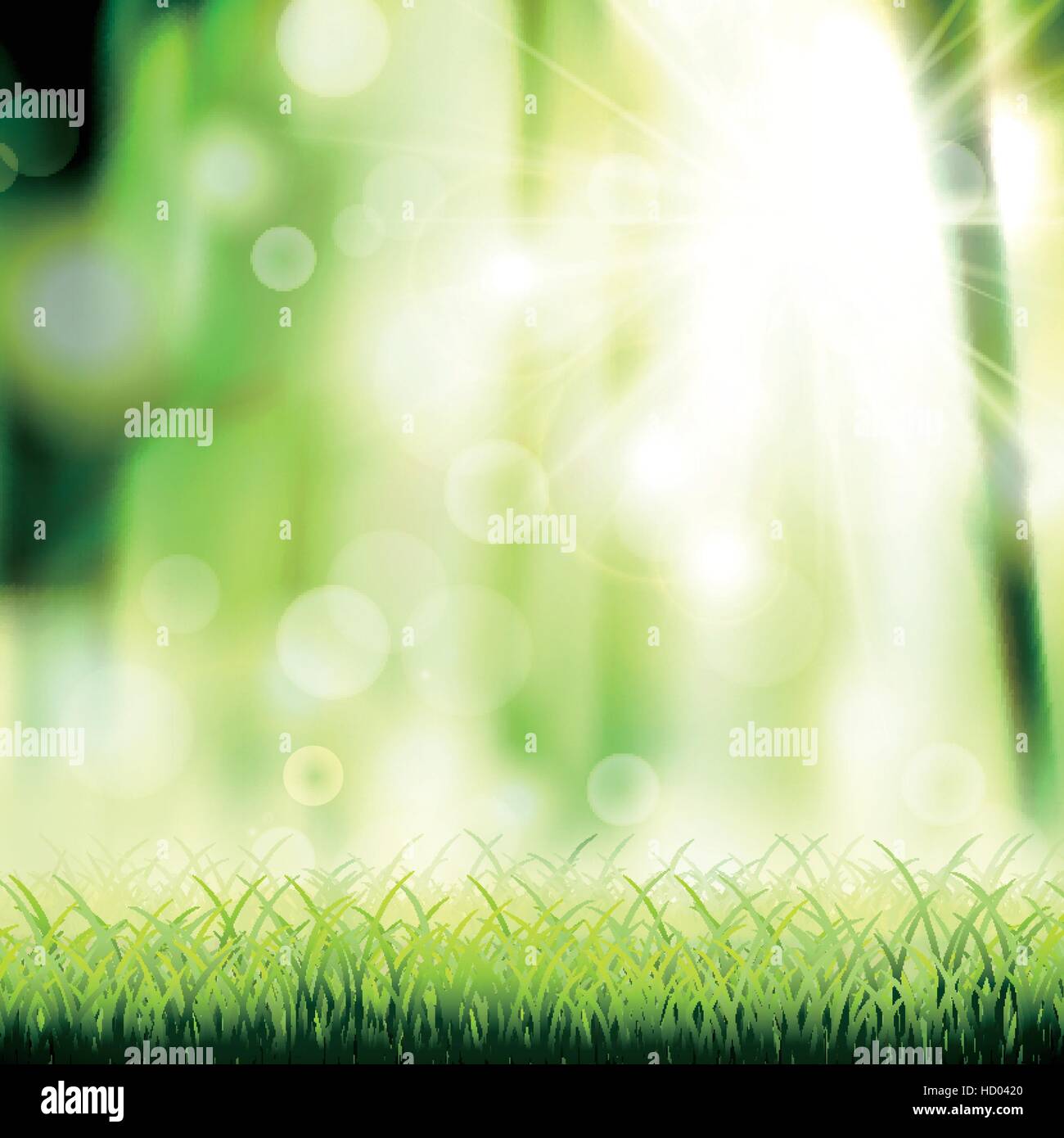 close-up look at natural grass background with sunshine Stock Vector ...