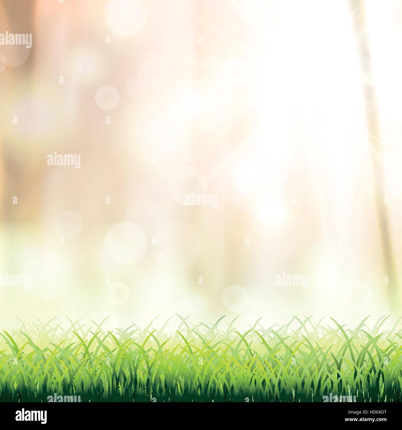 close-up look at natural grass background with sunshine Stock Vector ...