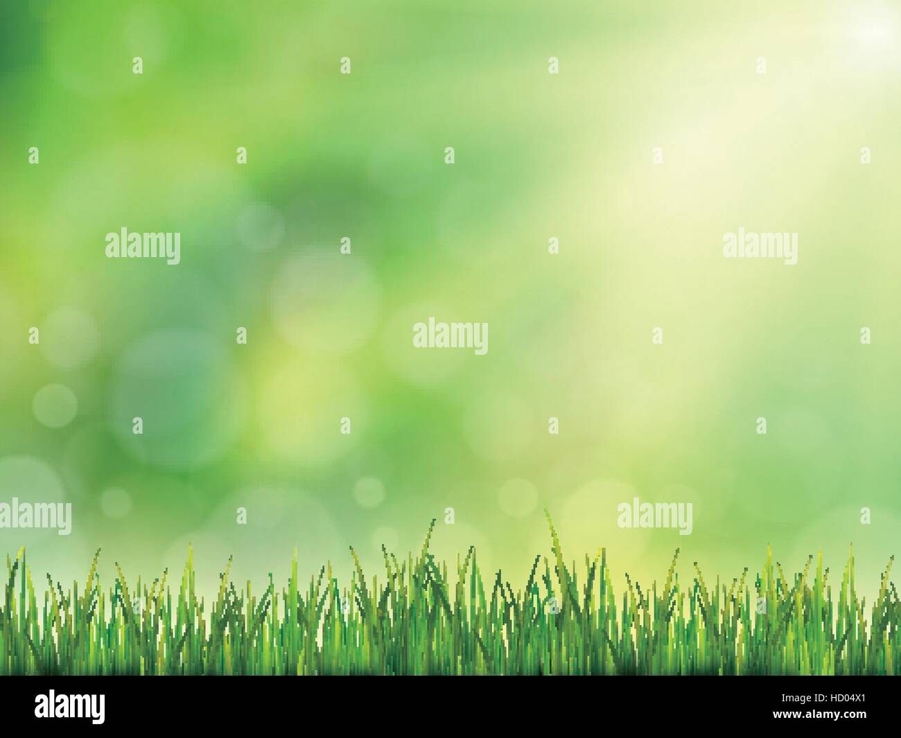 Close up green grass wild Stock Vector Images - Alamy