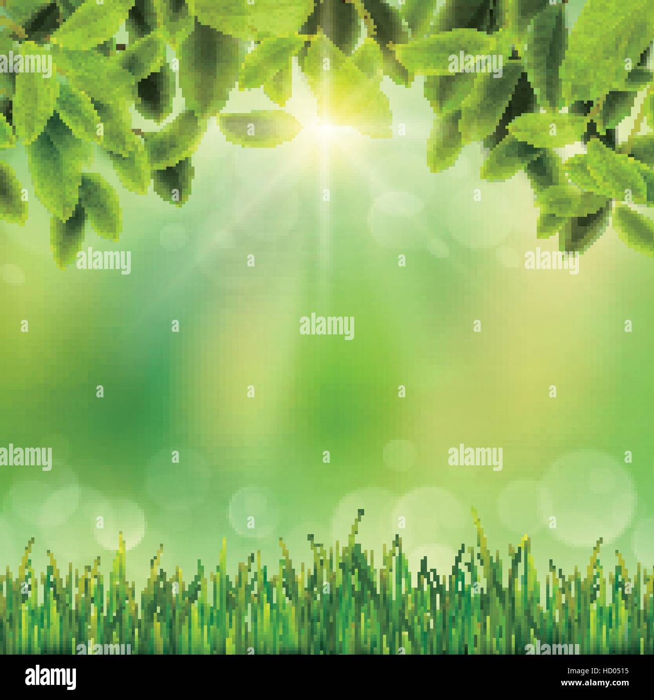 close-up look at natural grass background with sunshine and leaves ...