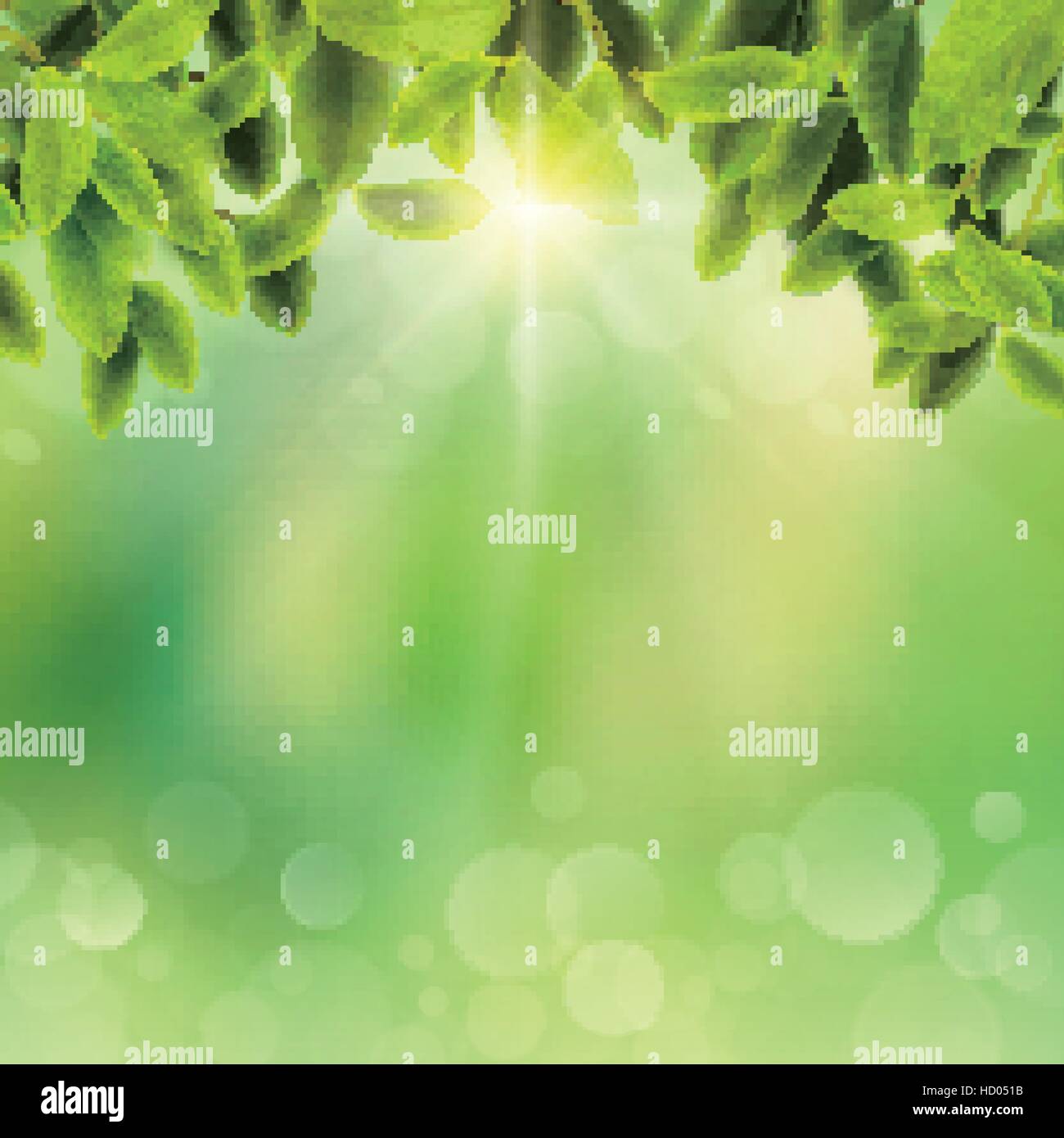 natural blurred background with sunshine and leaves Stock Vector Image ...