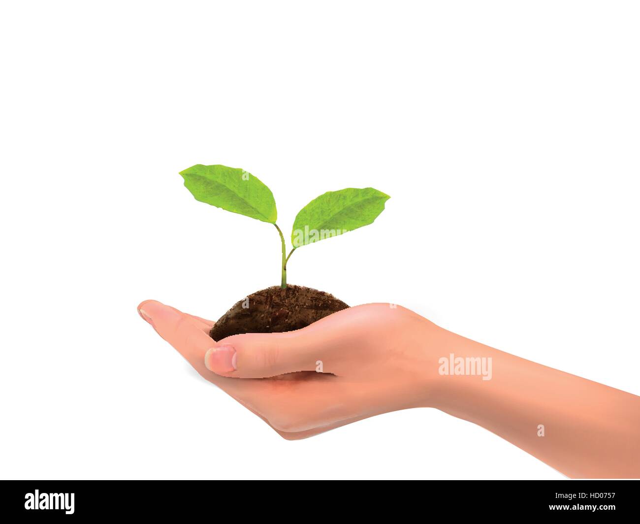 realistic hand holding plant isolated on white background Stock Vector ...