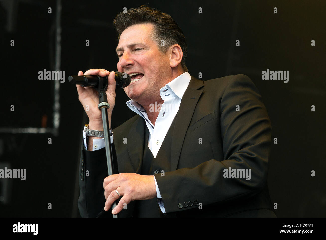 Rewind South Festival - Henley-on-Thames - Performances Featuring: Tony ...