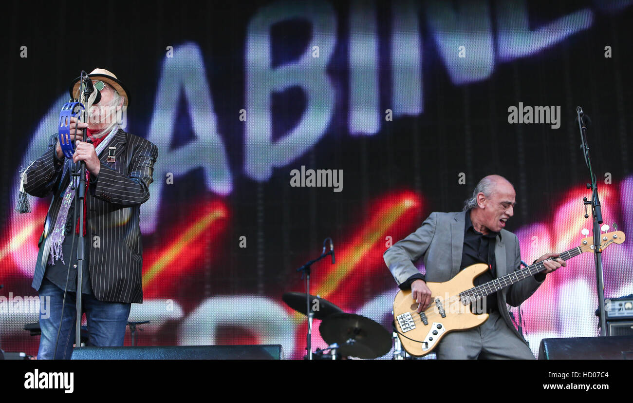 Rewind South Festival - Henley-on-Thames - Performances - Day 2 ...