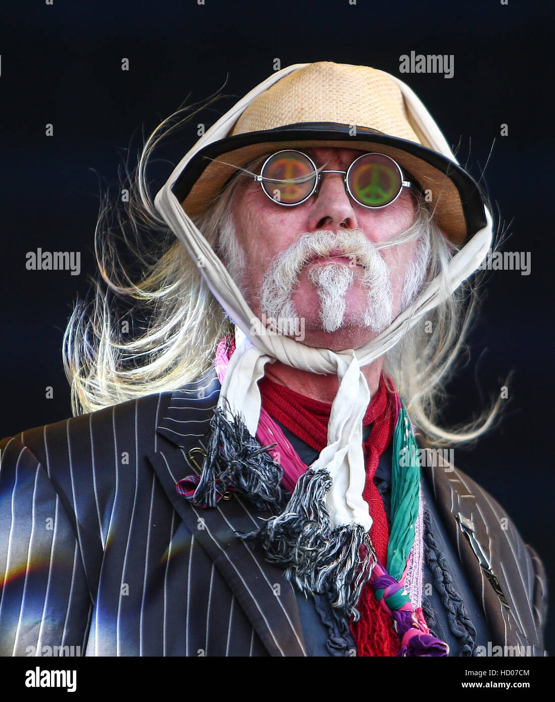 Rewind South Festival - Henley-on-Thames - Performances - Day 2 ...