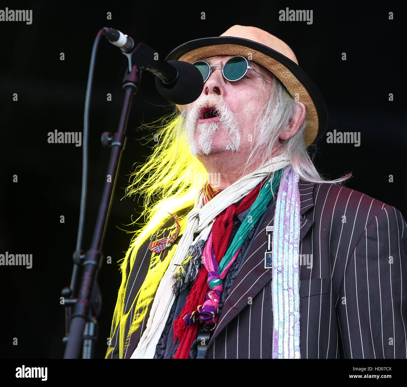 Rewind South Festival - Henley-on-Thames - Performances - Day 2 ...