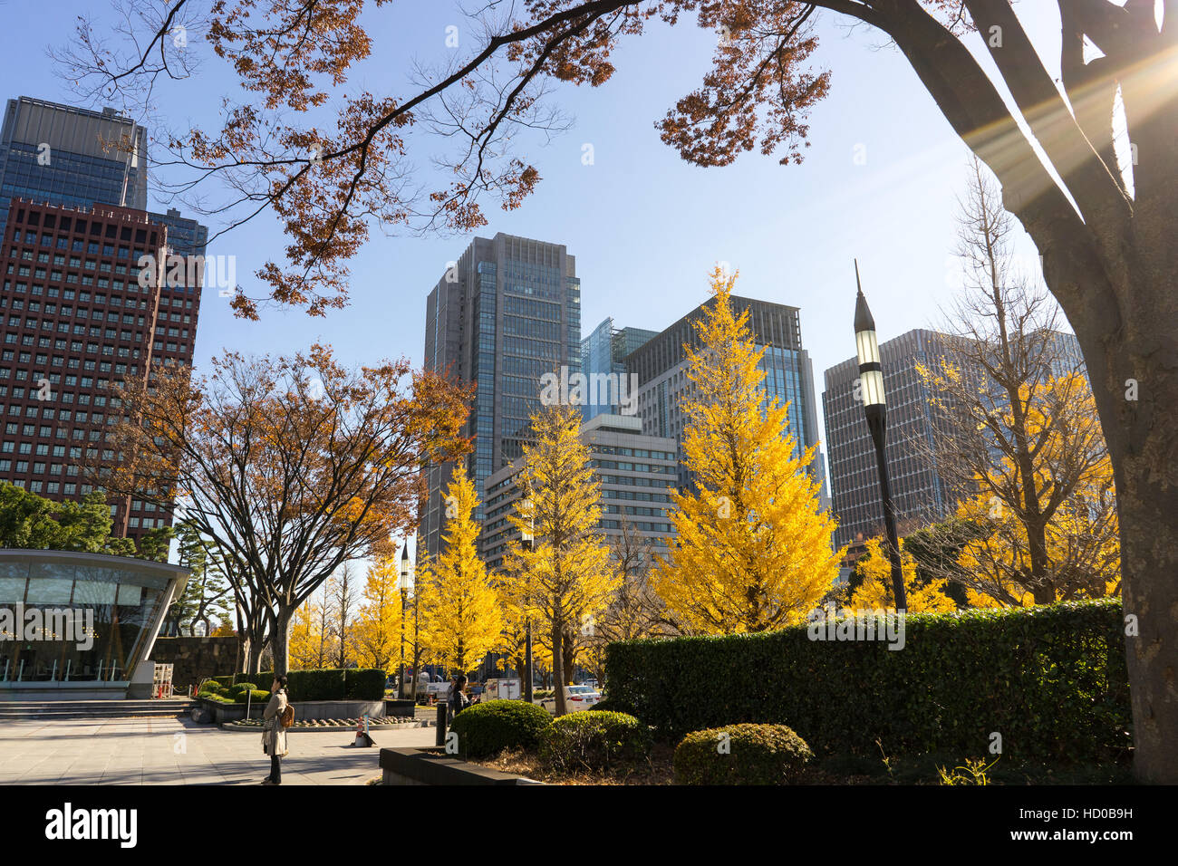 Fall Season in Tokyo, Japan Stock Photo - Alamy