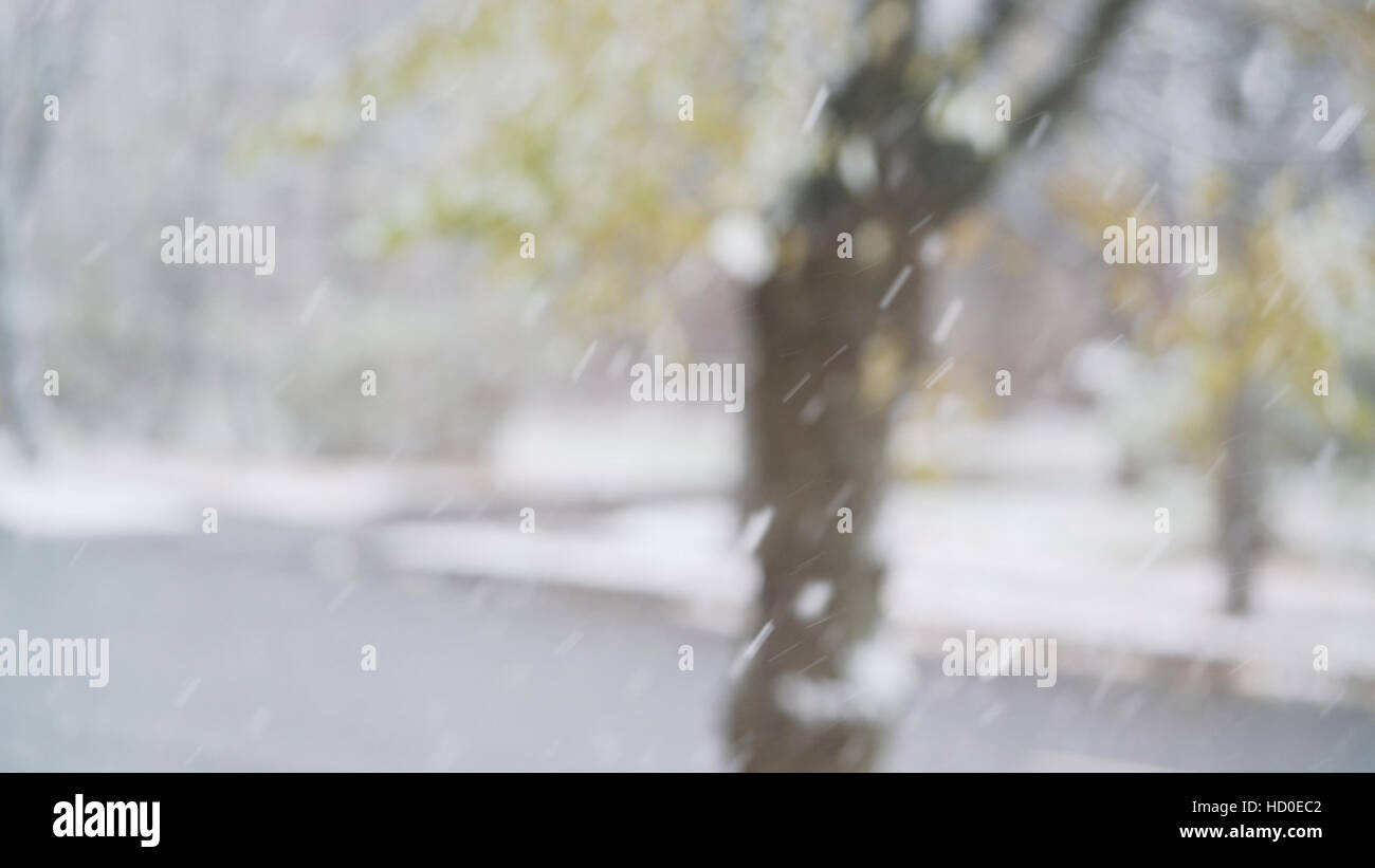 Trees snow in slow motion hi-res stock photography and images - Alamy