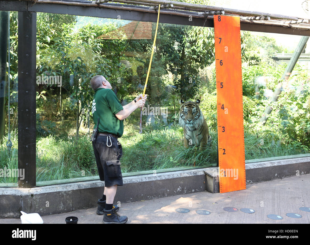 ZSL London Zoo Annual weigh in 2016. Home to more than 700 different ...