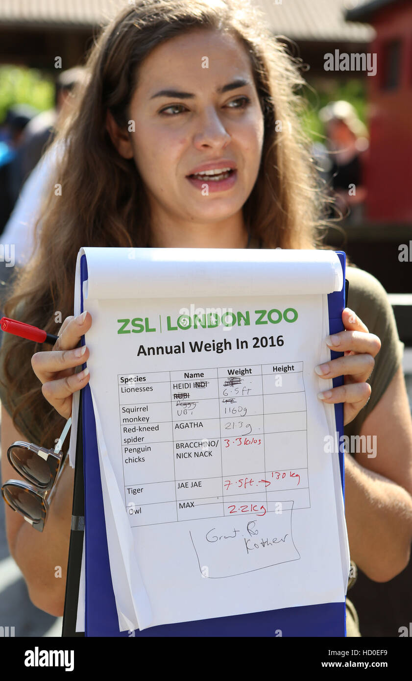 ZSL London Zoo Annual weigh in 2016. Home to more than 700 different ...