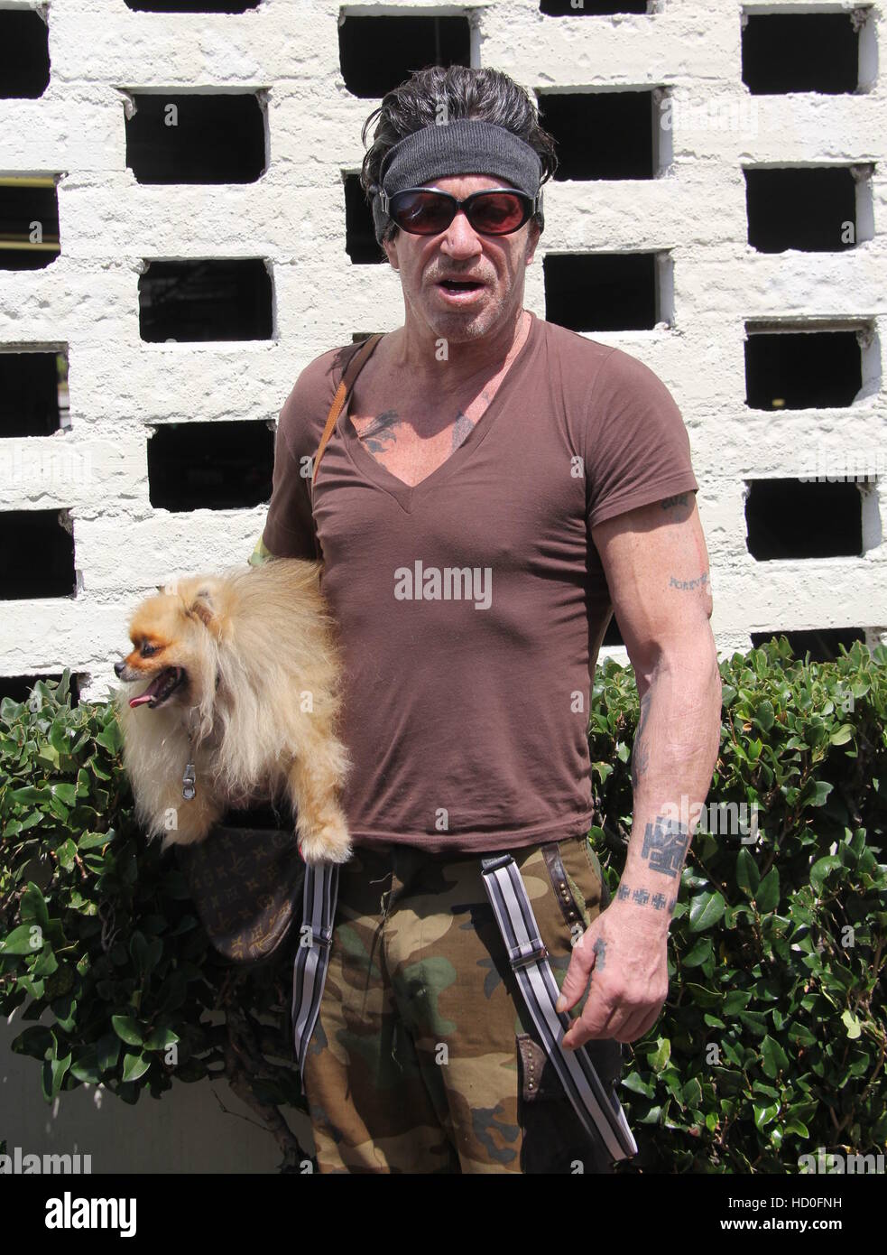 Mickey Rourke agoes for coffee at Cafe Roma with his dog in Beverly ...