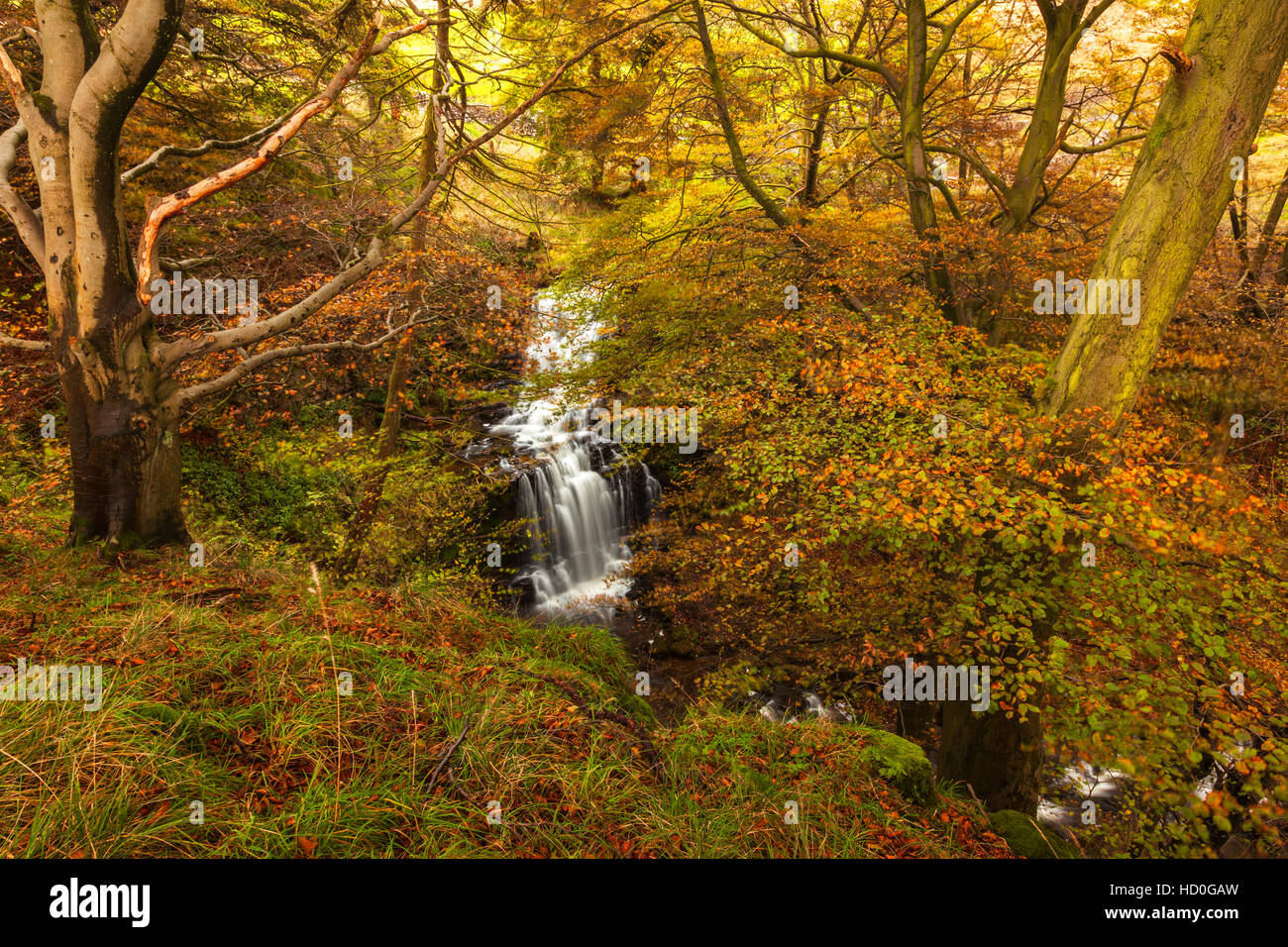 The Falls at Scaleber Force Stock Photo - Alamy