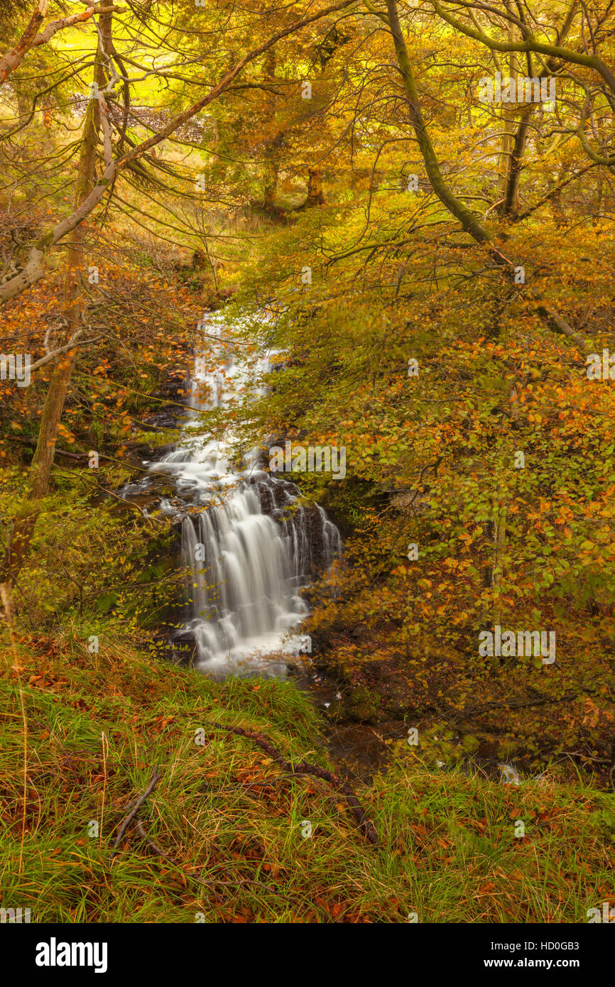 The Falls at Scaleber Force Stock Photo - Alamy