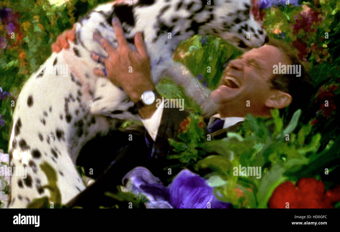 WHAT DREAMS MAY COME, Robin Williams, 1998, dog Stock Photo - Alamy