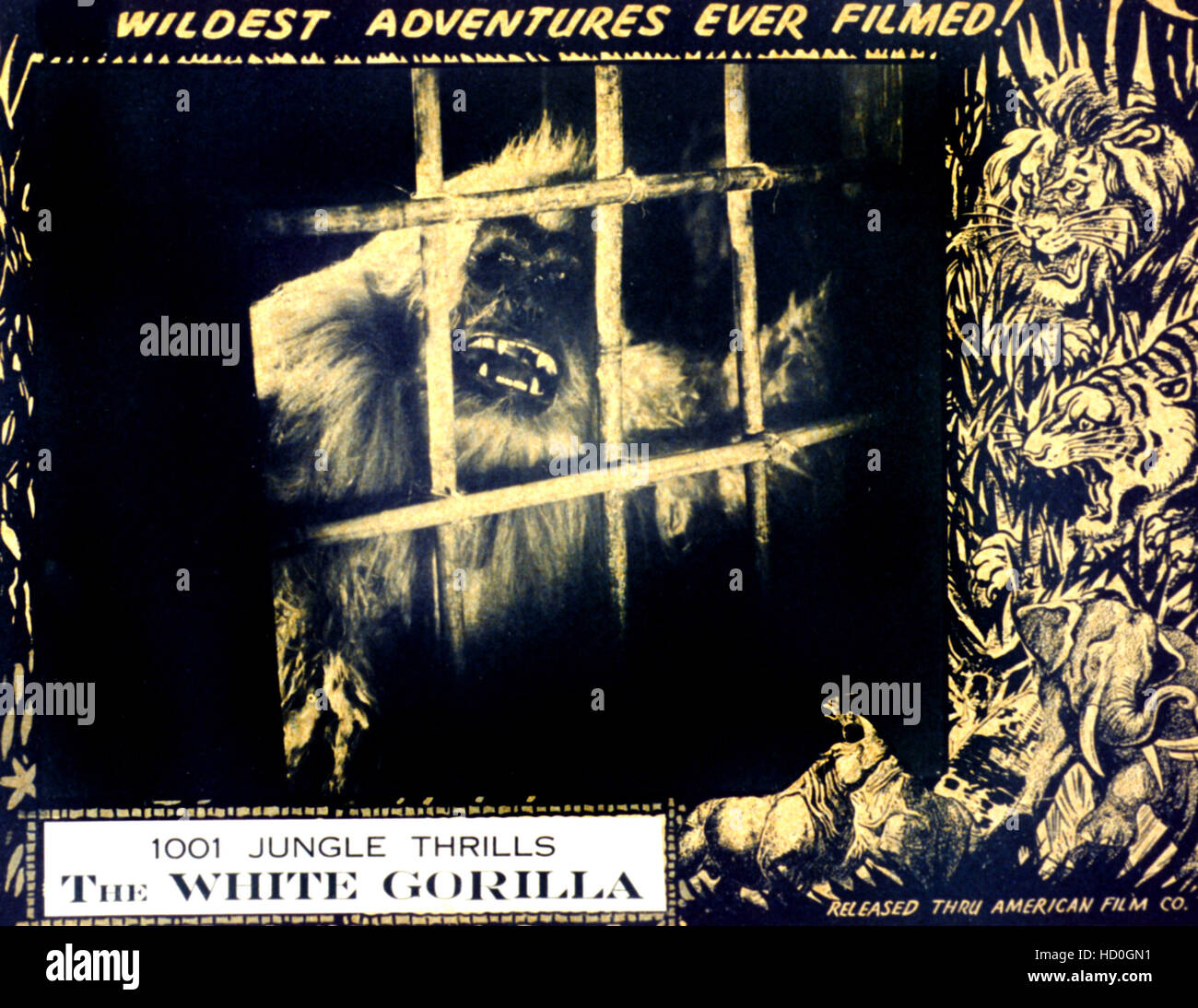 THE WHITE GORILLA, Ray Corrigan, 1945 Stock Photo - Alamy