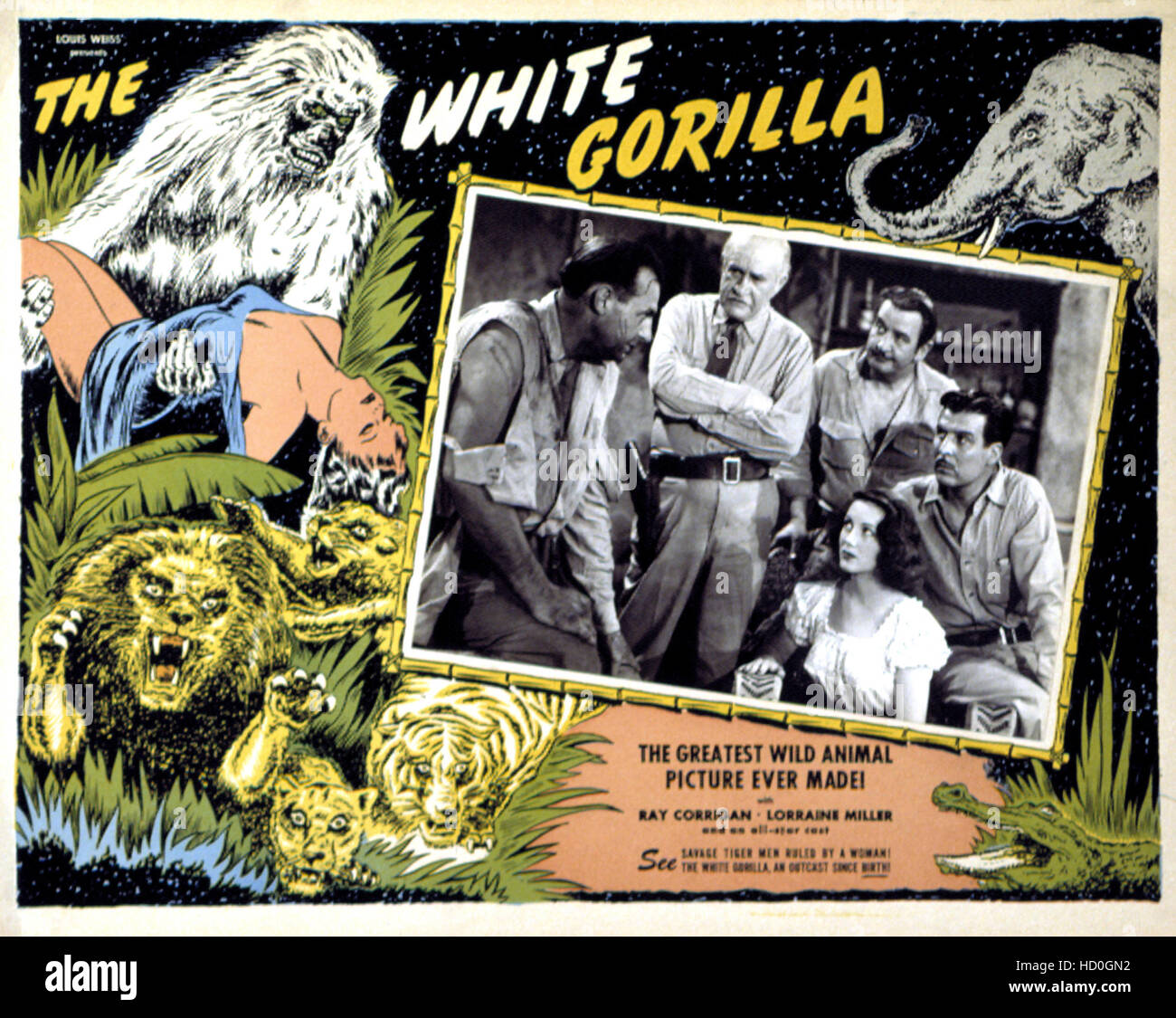 THE WHITE GORILLA, Ray Corrigan, Francis Ford, Lorraine Miller, George ...