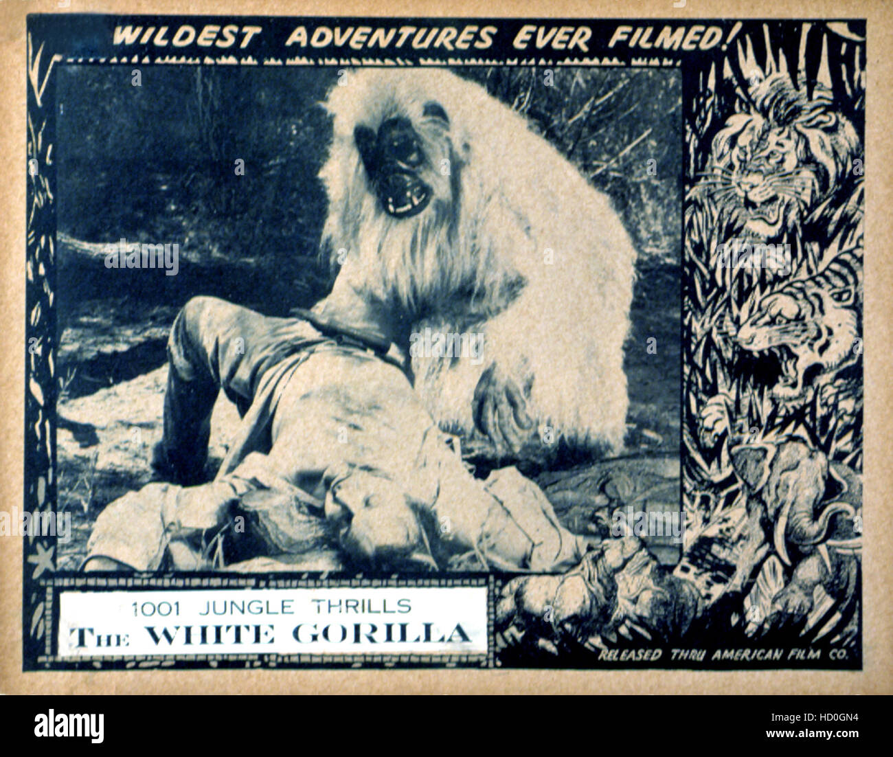 THE WHITE GORILLA, Ray Corrigan, 1945 Stock Photo - Alamy