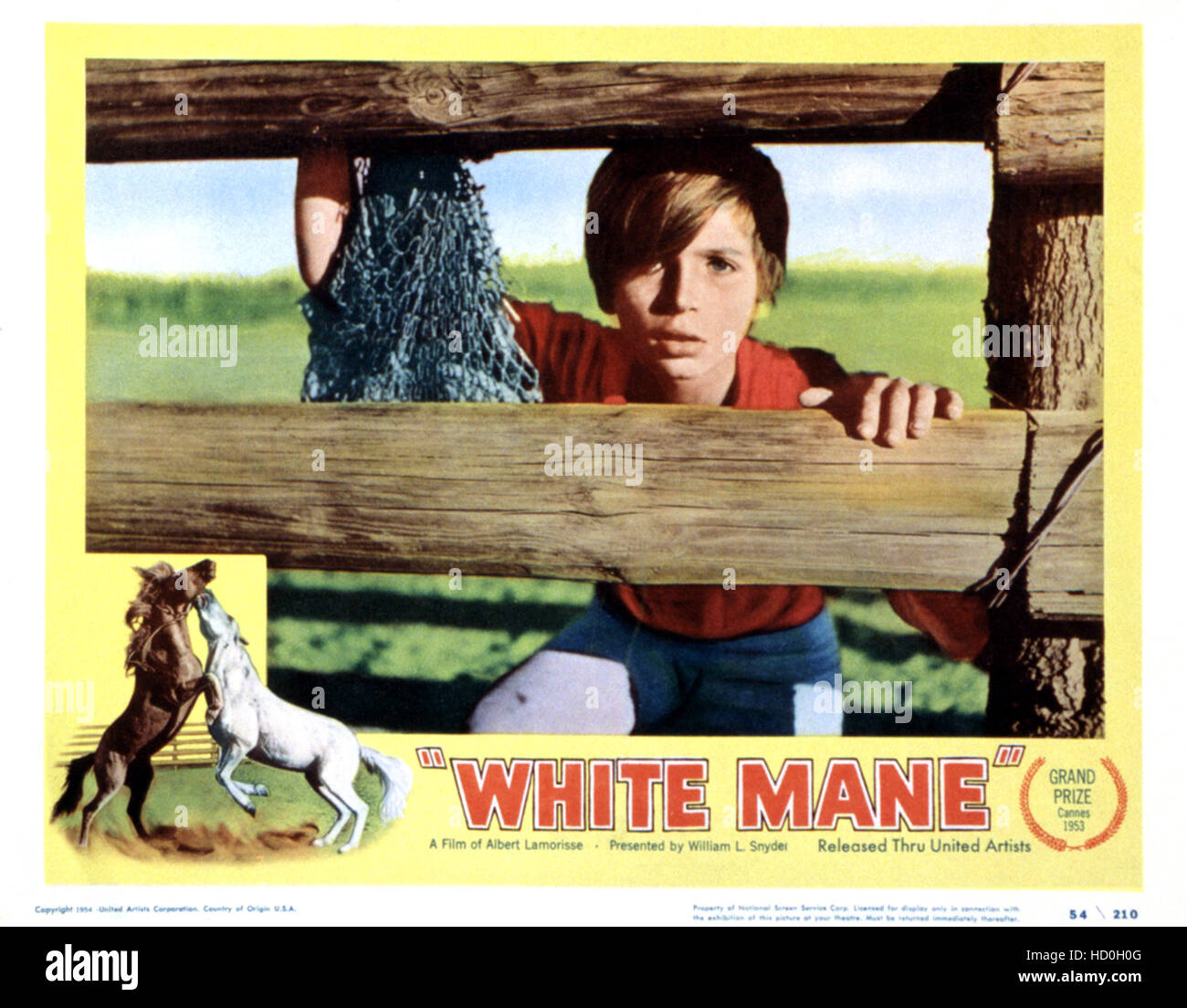 WHITE MANE, (aka CRIN-BLANC), Alain Emery, 1952 Stock Photo - Alamy