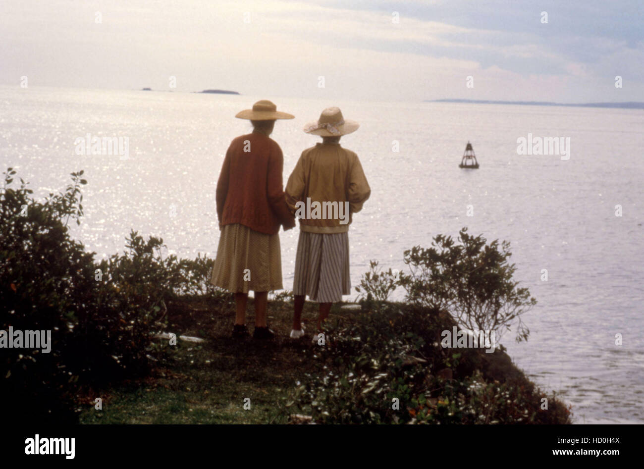 The Whales Of August Lillian Gish Bette Davis 1987 Calive Filmscourtesy Everett