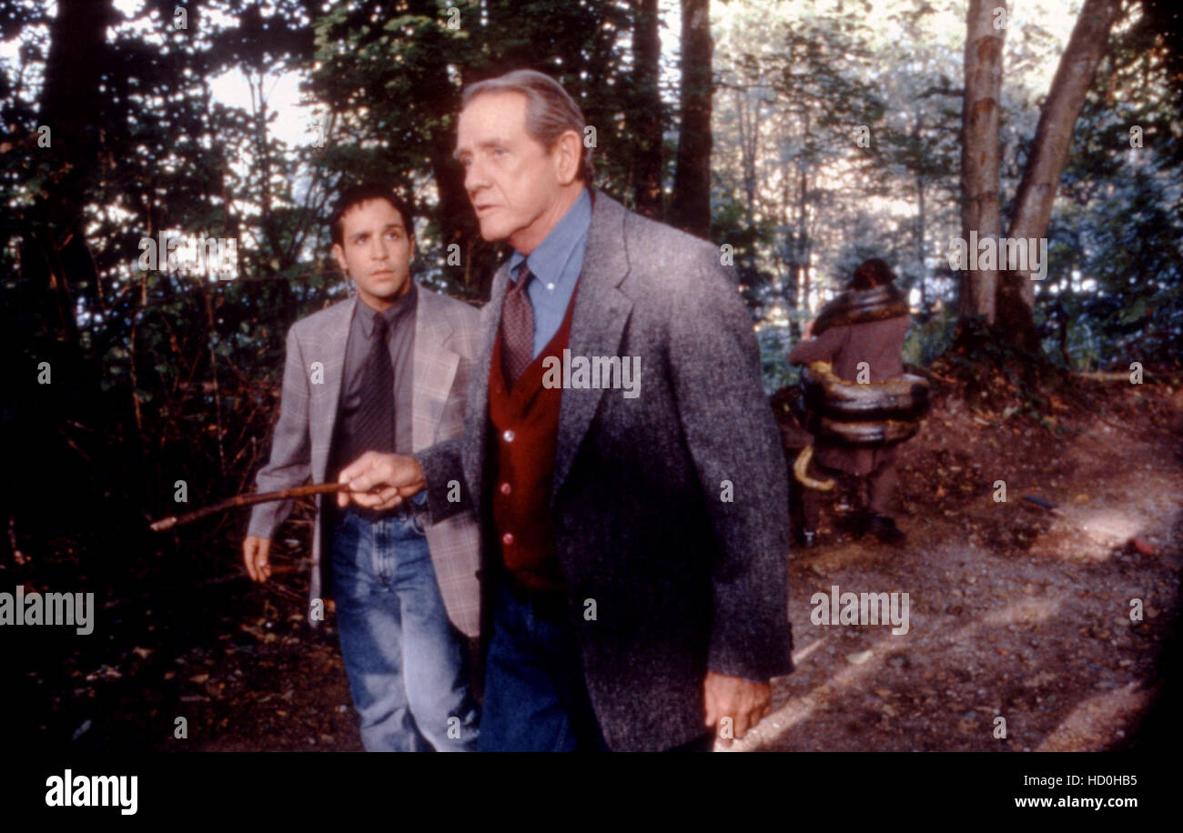 WRONGFULLY ACCUSED, Benjamin Ratner, Richard Crenna, 1998 Stock Photo ...