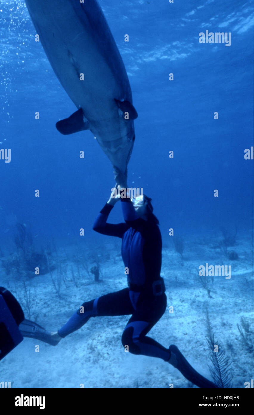 ZEUS AND ROXANNE, 1997, (c)MGM/courtesy Everett Collection Stock Photo ...