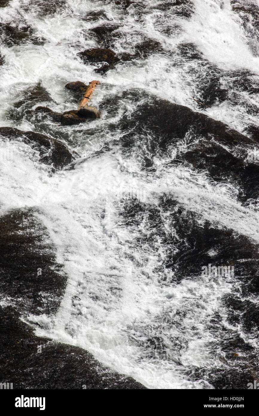 Rapids in the Lewis River, Yellowstone National Park, Wyoming, USA ...