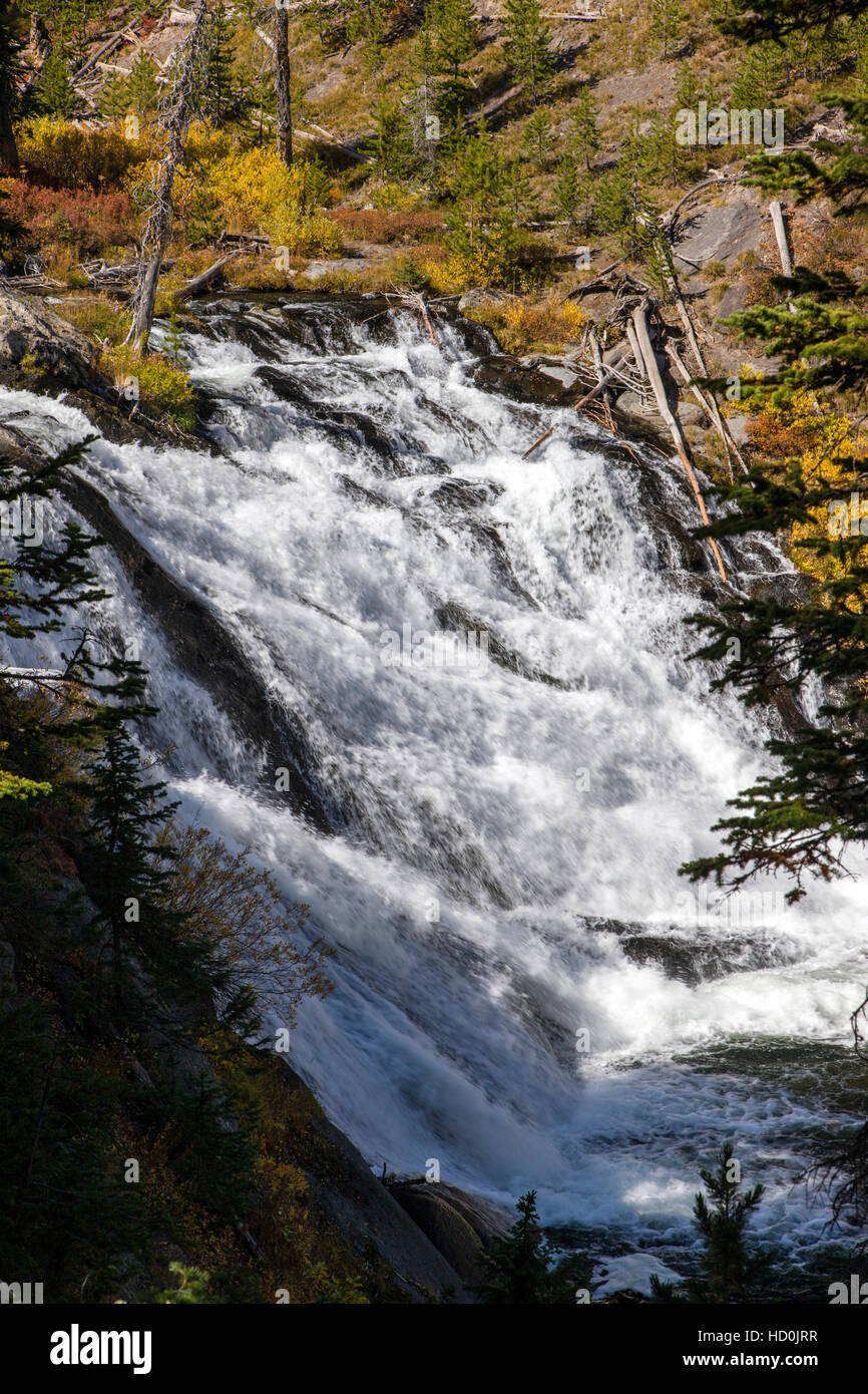 Lewis Falls, Yellowstone National Park, Wyoming, USA Stock Photo - Alamy