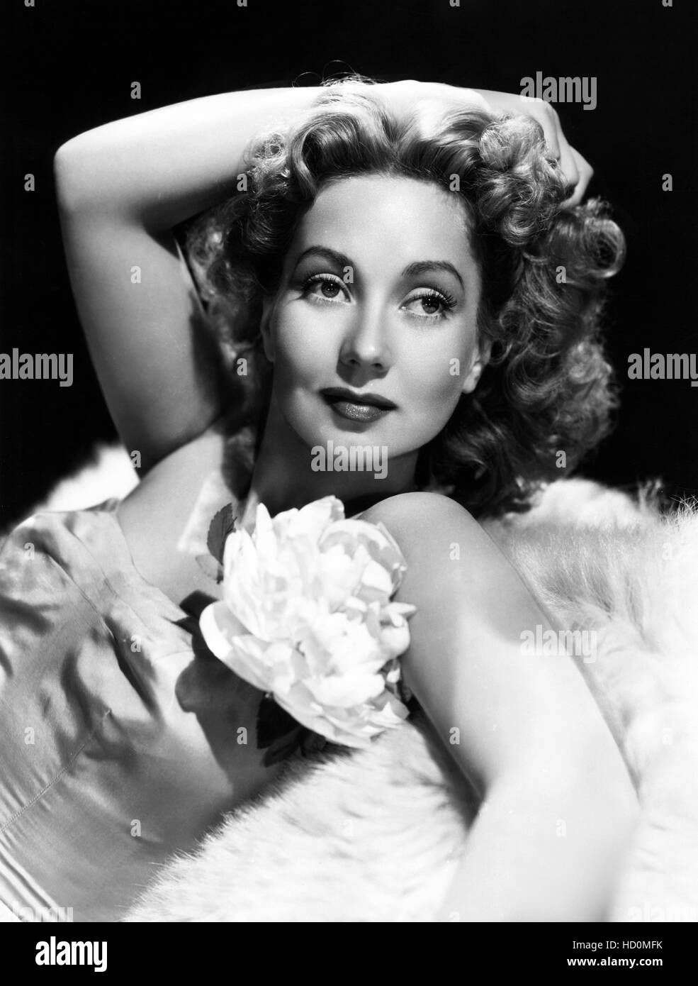 Ann Sothern, ca. 1940 Stock Photo - Alamy