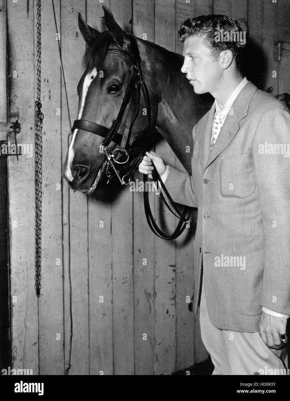 Dan Dailey with his horse, Stylish Rex, 1942 Stock Photo - Alamy