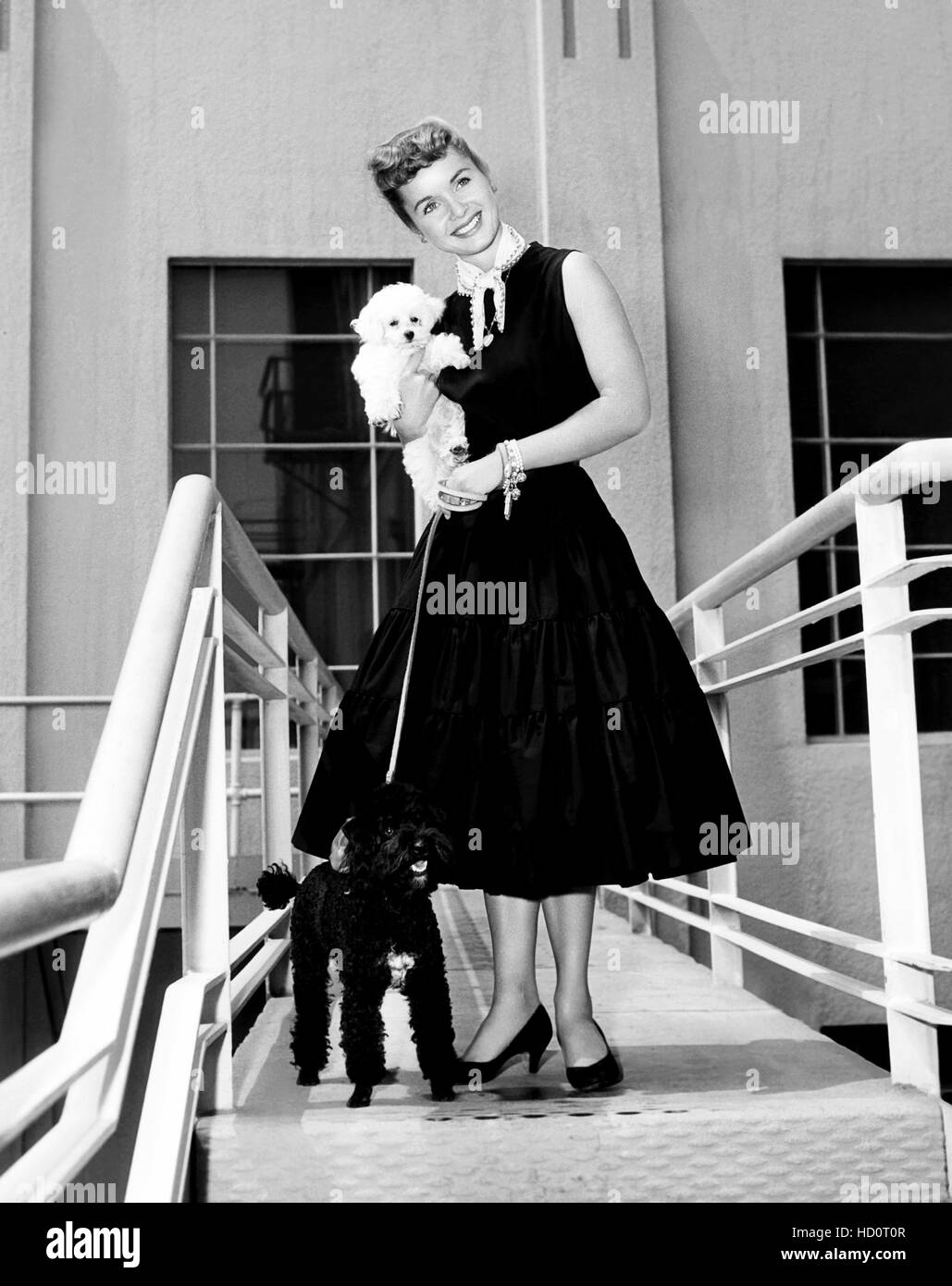 Debbie Reynolds with her poodles, 'Fannie' and "Tour Jete,' ca. mid ...