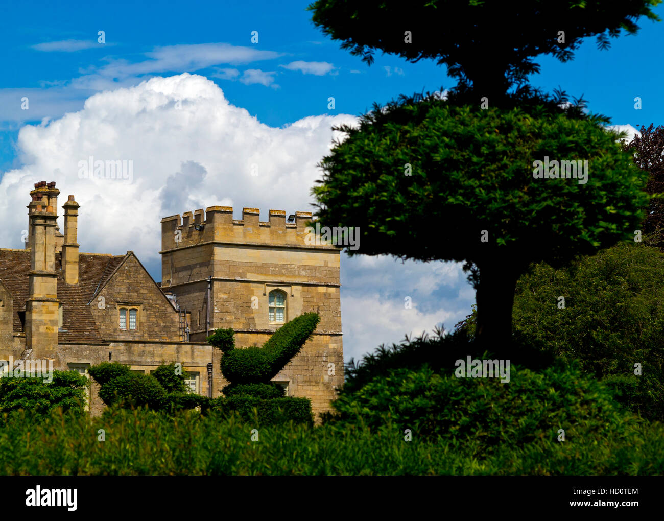 Topiary shrubs at Grimsthorpe Castle in Lincolnshire England UK home of ...