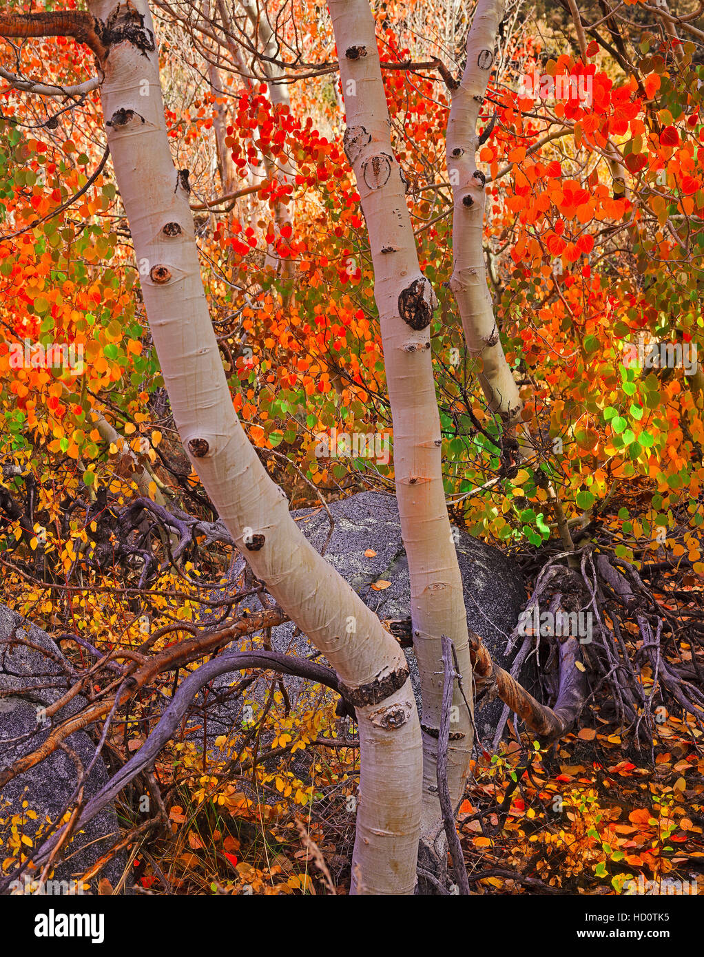 Red green blue primary colors hi-res stock photography and images - Alamy