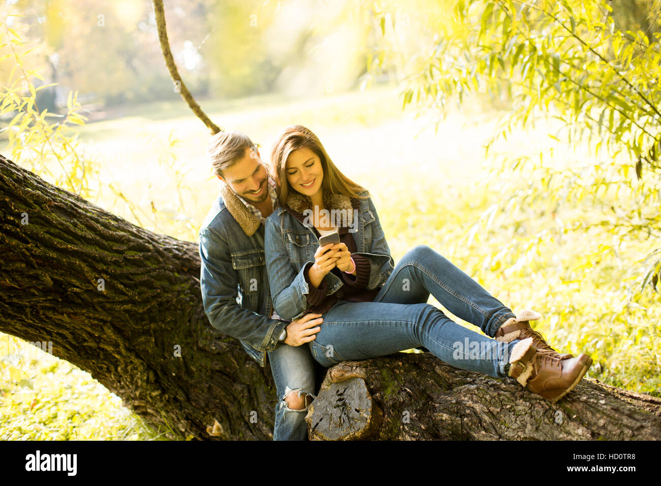 Couple in love sitting on a tree in autumn park Stock Photo - Alamy