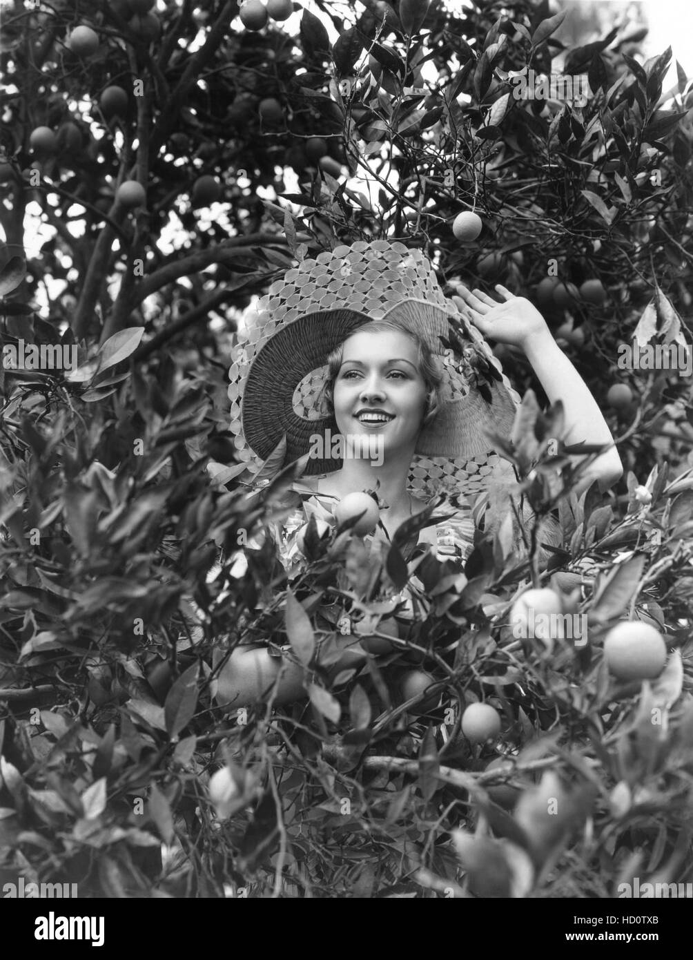 Evalyn Knapp amid the orange trees, 1931 Stock Photo - Alamy