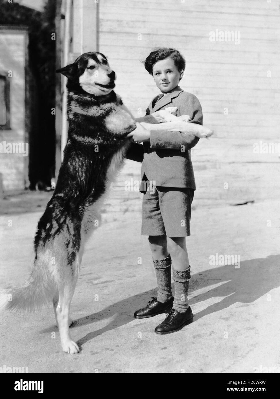 Freddie Bartholow and his dog, 'Dawson,' ca. 1936 Stock Photo - Alamy