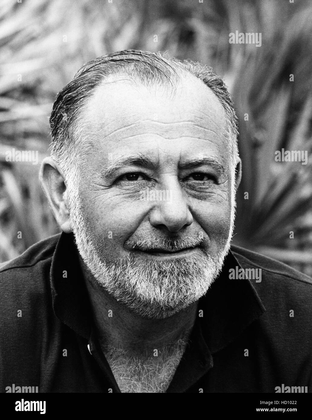 Producer Ivan Tors, ca. 1970s Stock Photo - Alamy