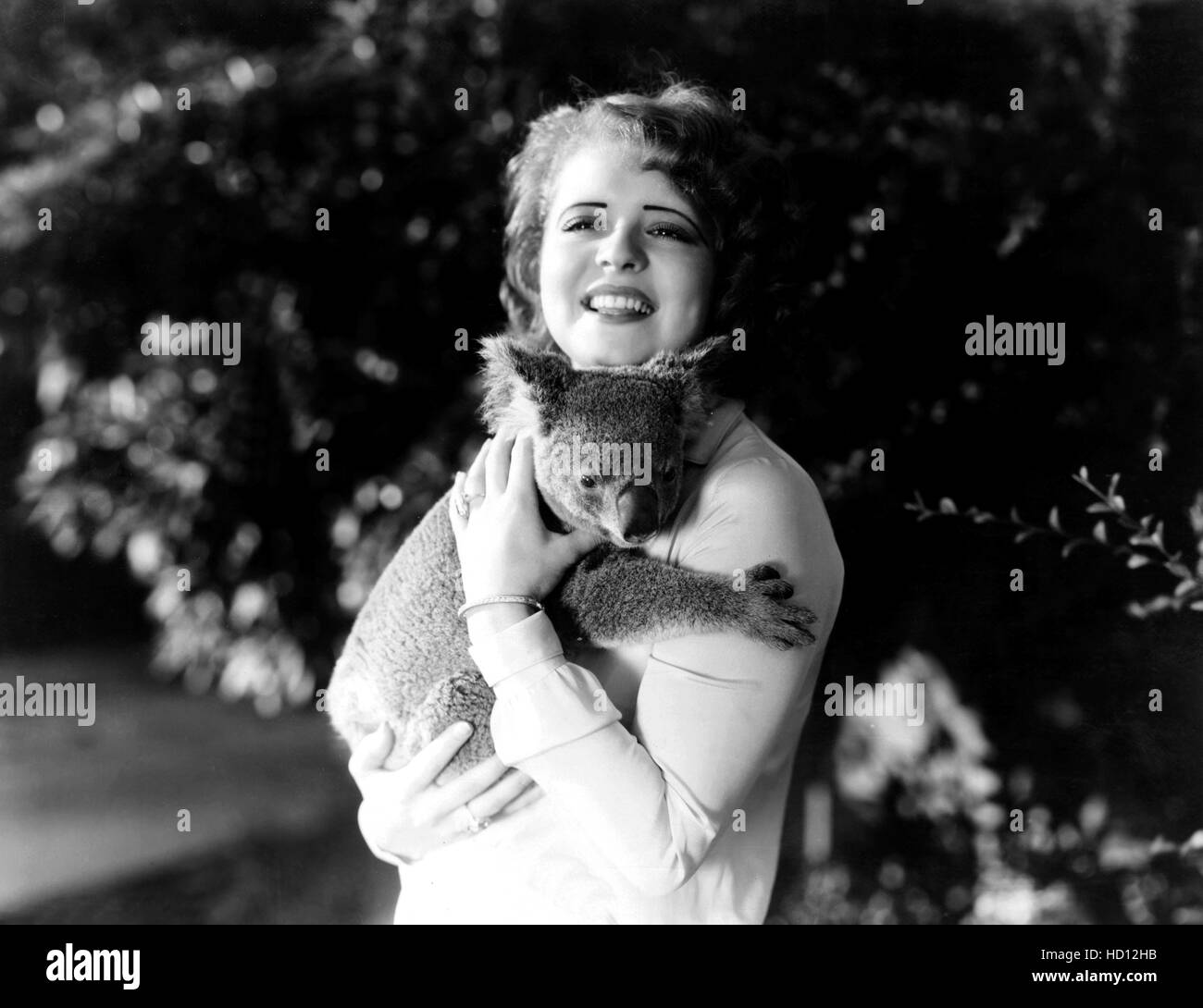 Clara Bow, with her pet koala, 1931 Stock Photo - Alamy