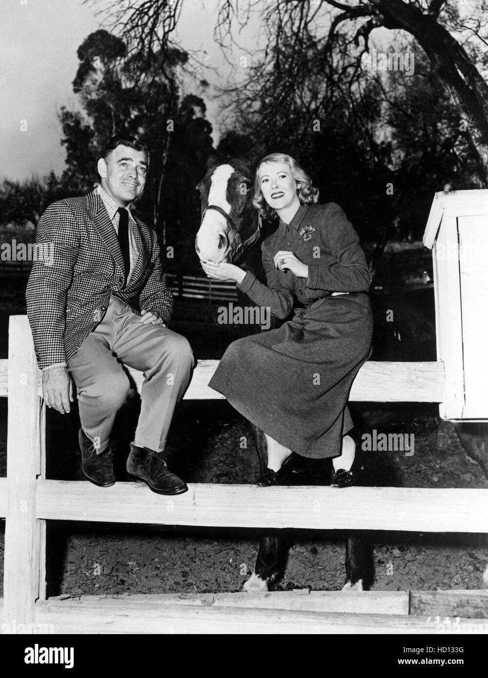 CLARK GABLE with wife SYLVIA ASHLEY at their ranch home, 1950 Stock ...