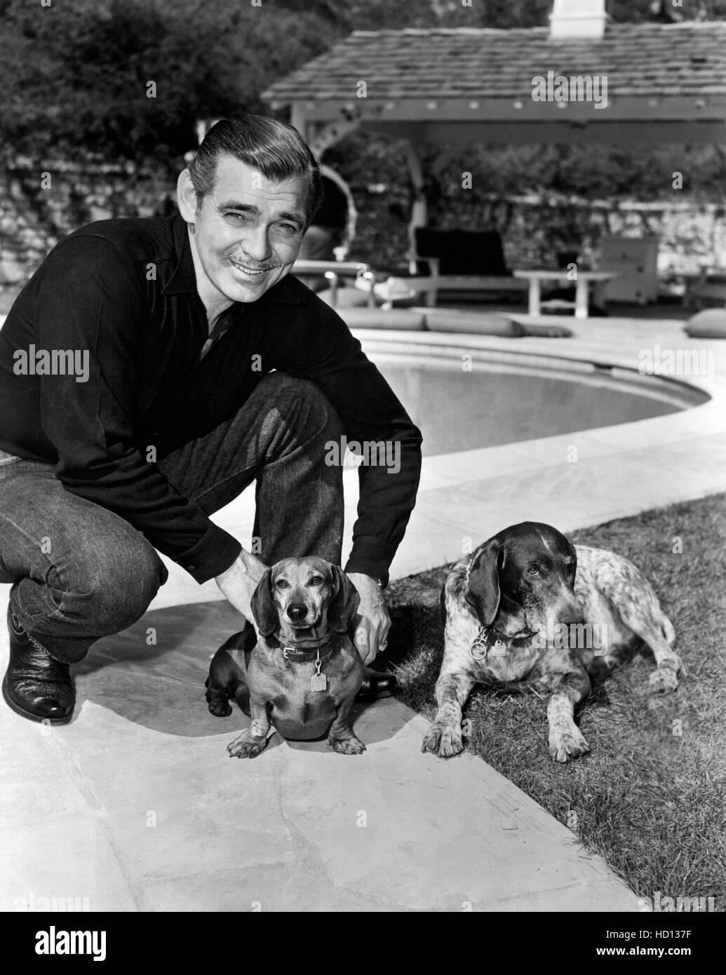 Clark Gable at home with his pet dogs, 1952 Stock Photo - Alamy