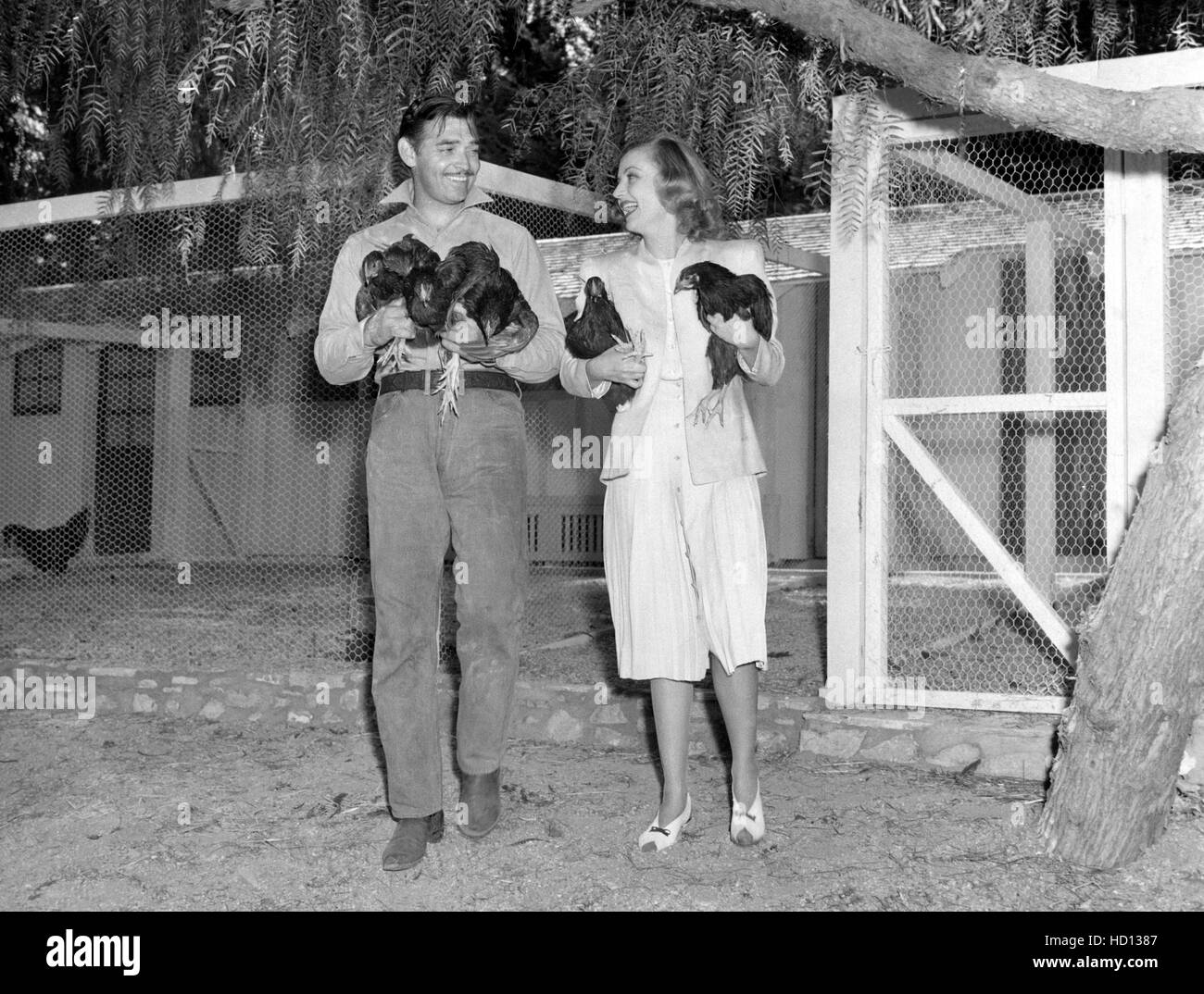 From left: Clark Gable, Carole Lombard raising chickens on their ranch ...