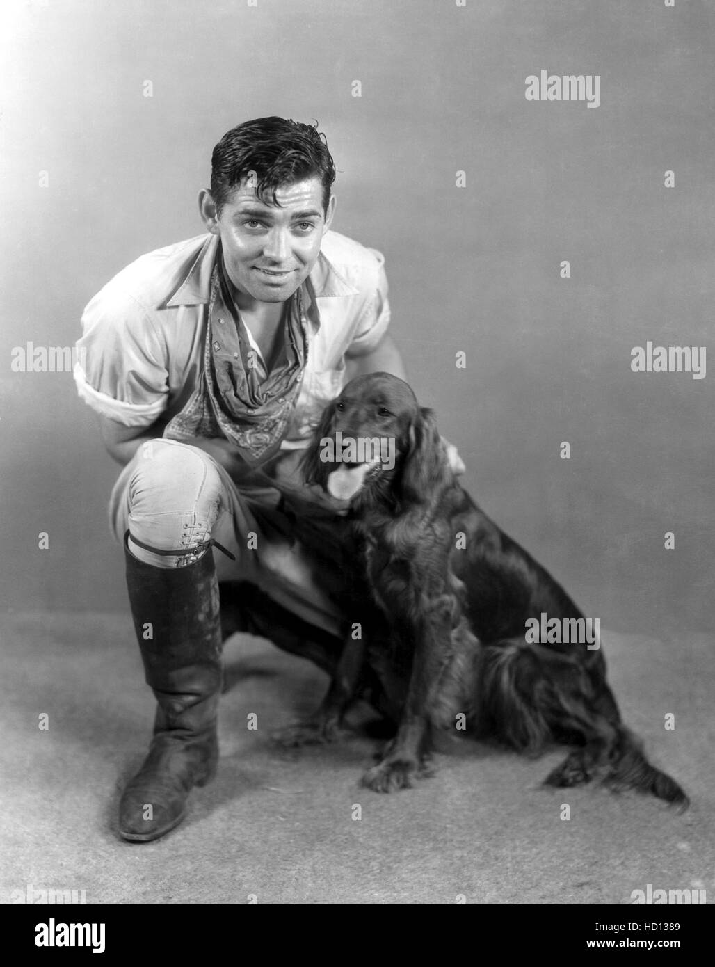 Clark Gable posing with Irish setter, ca. 1930s Stock Photo - Alamy