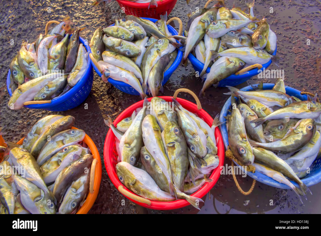Raw fish in basket Stock Photo - Alamy