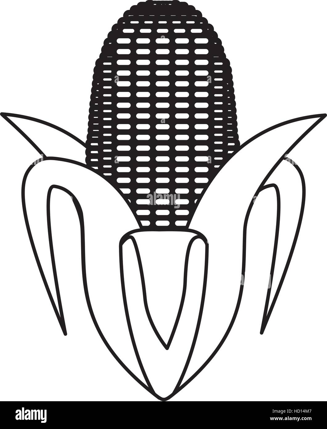 Isolated corn design Stock Vector Image & Art - Alamy