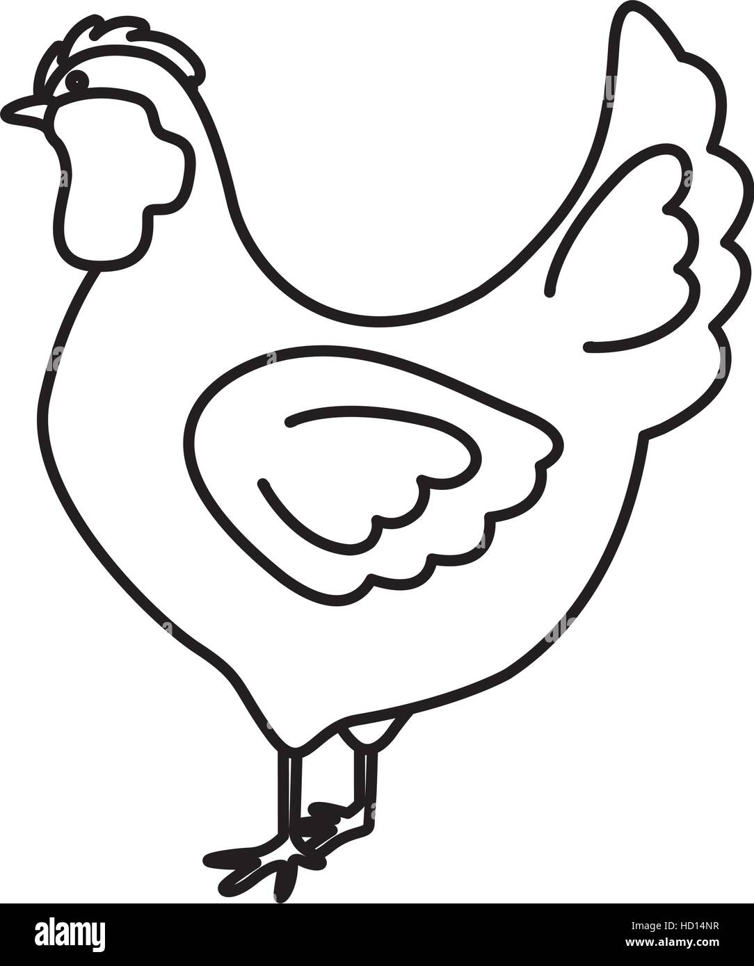 Isolated chicken design Stock Vector Image & Art - Alamy