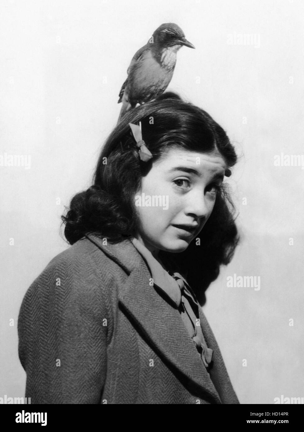 Edith Fellows, with her pet bluebird, 'Penny,' 1936 Stock Photo - Alamy