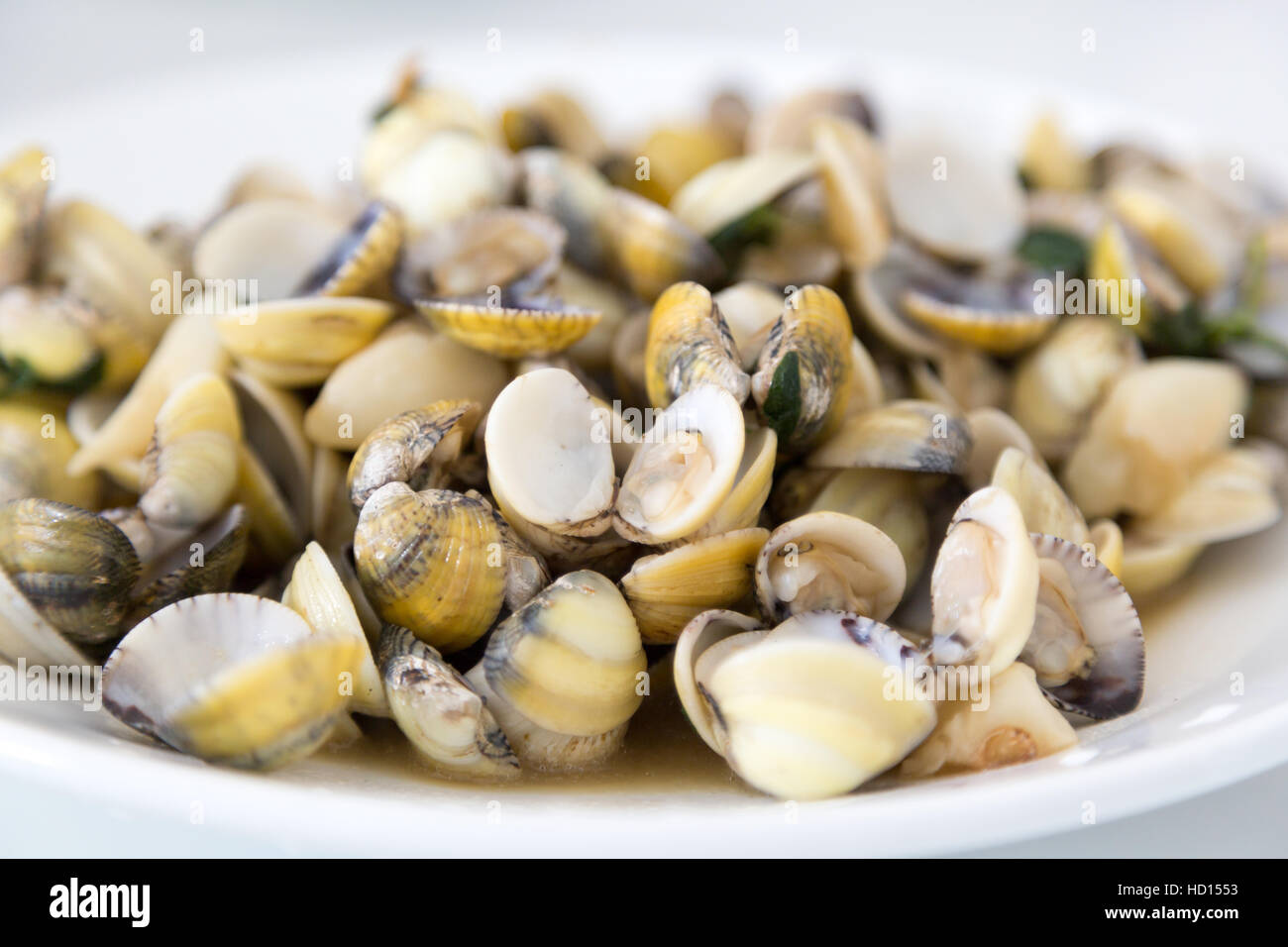 Two clams hi-res stock photography and images - Alamy
