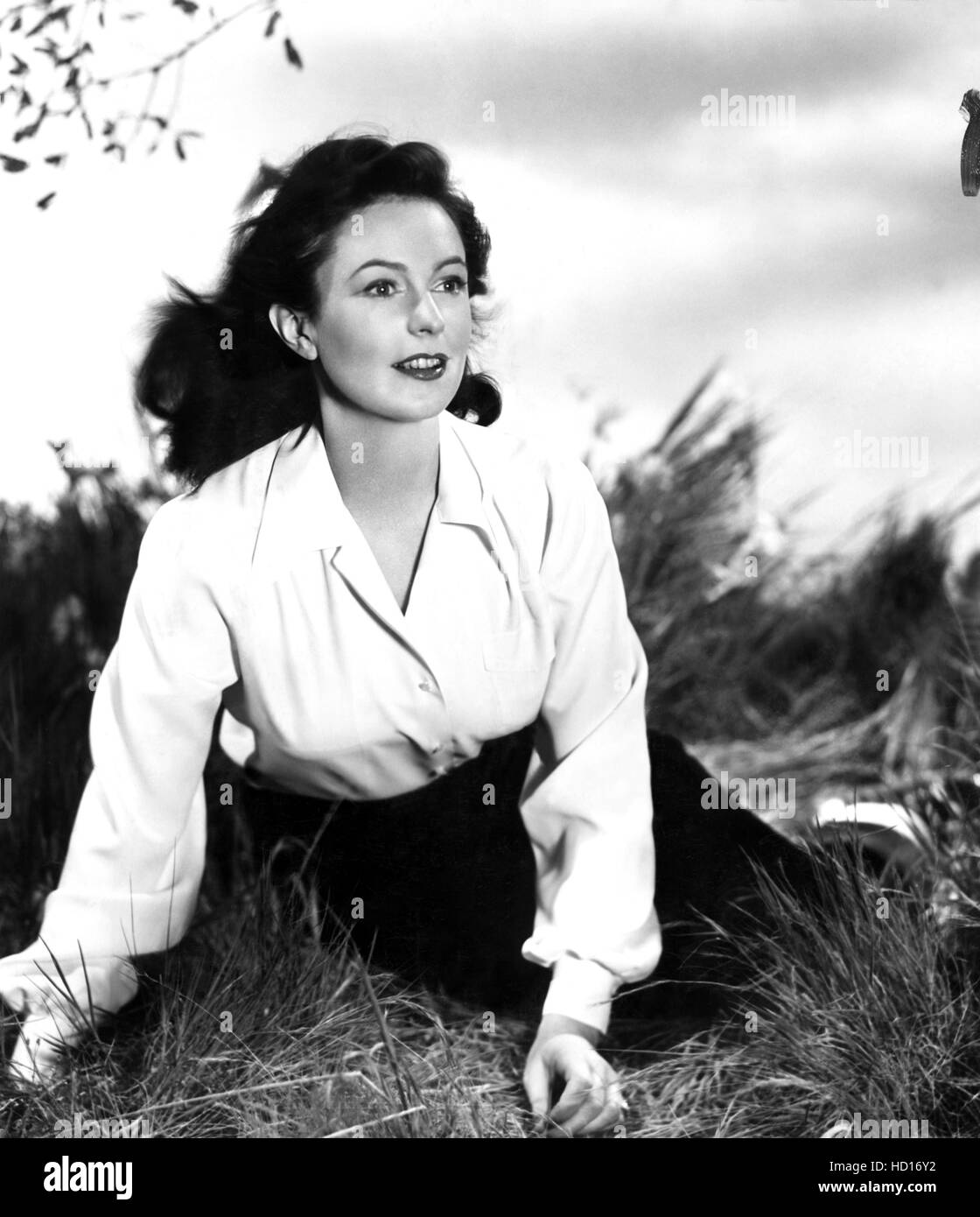 Geraldine Fitzgerald, 1942 Stock Photo - Alamy