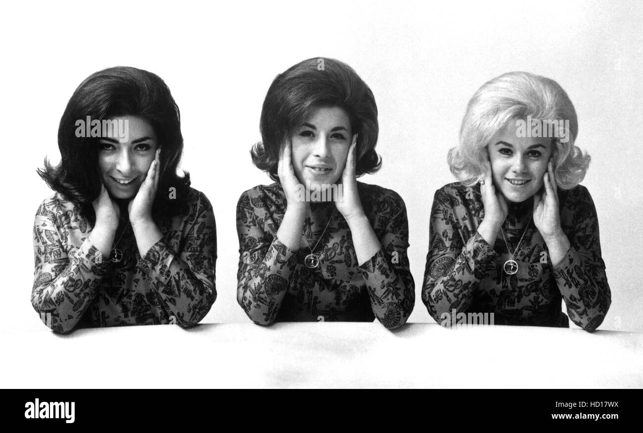 The Honeys, Marilyn Rovell, Diane Rovell, and Ginger Blake, 1963 Stock ...